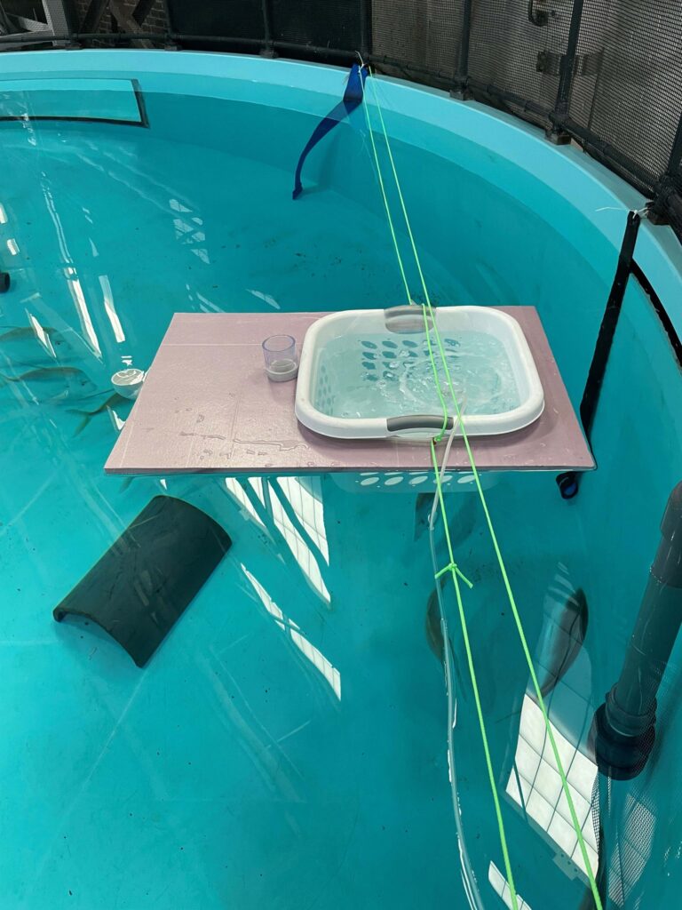 What’s in an Egg? - New England Aquarium