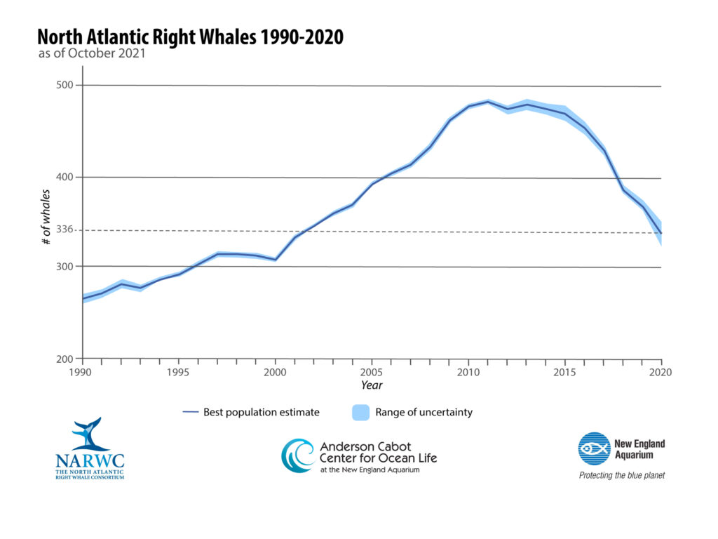 Right Whale Population Declines for 10th Straight Year - New England ...