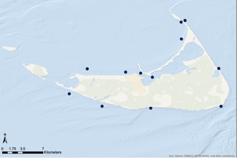 Sandbar Sharks Around Nantucket: I Know What They Did Last Summer - New ...