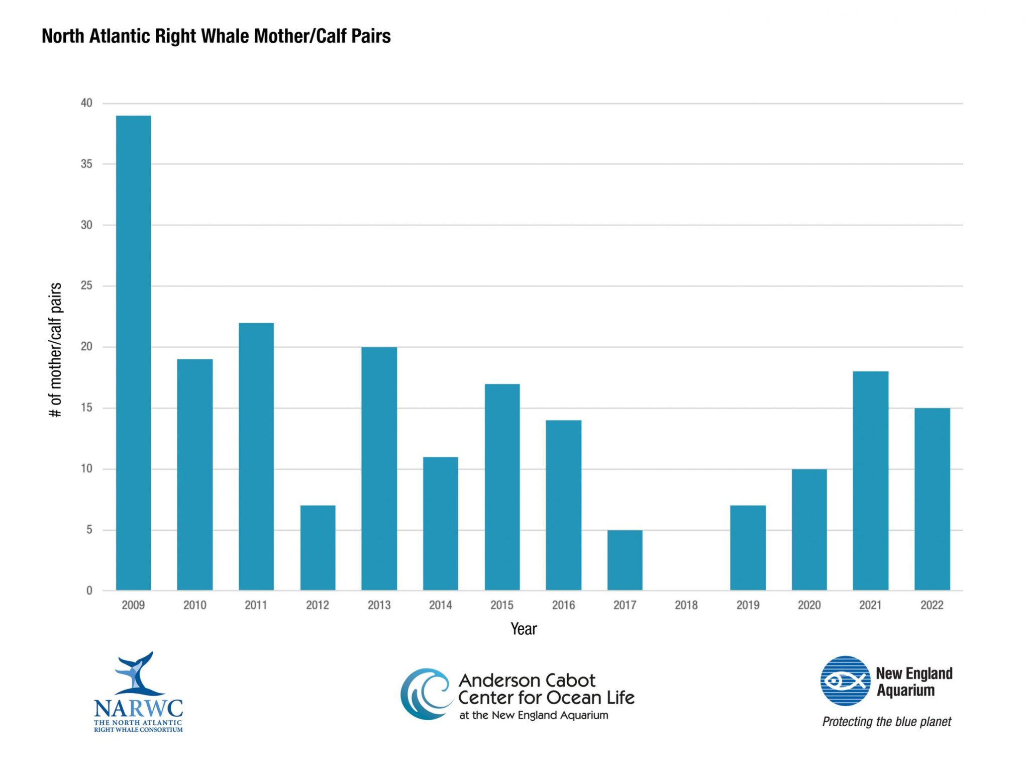 Facing Human-Caused Threats, Right Whales’ Downward Trend Continues ...