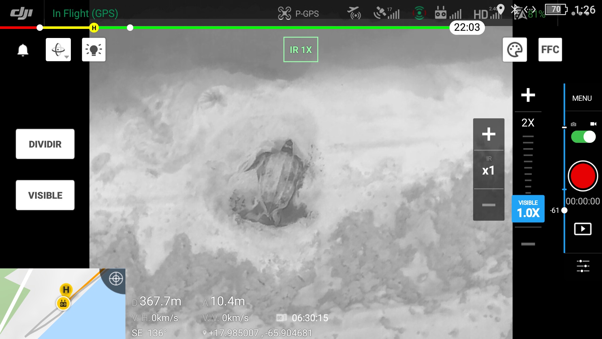 Researchers using cutting-edge technology to protect endangered sea ...