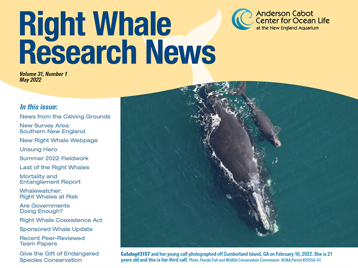 Right Whale Research News - New England Aquarium