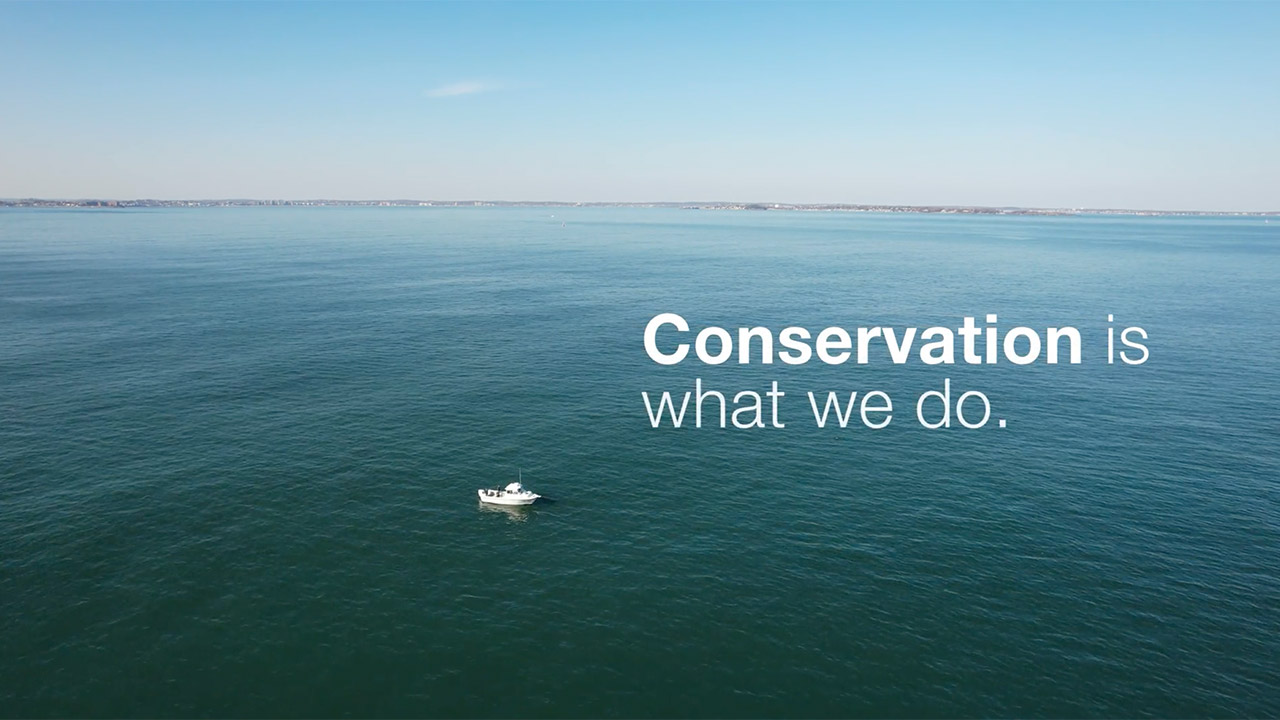 Ocean Conservation - New England Aquarium