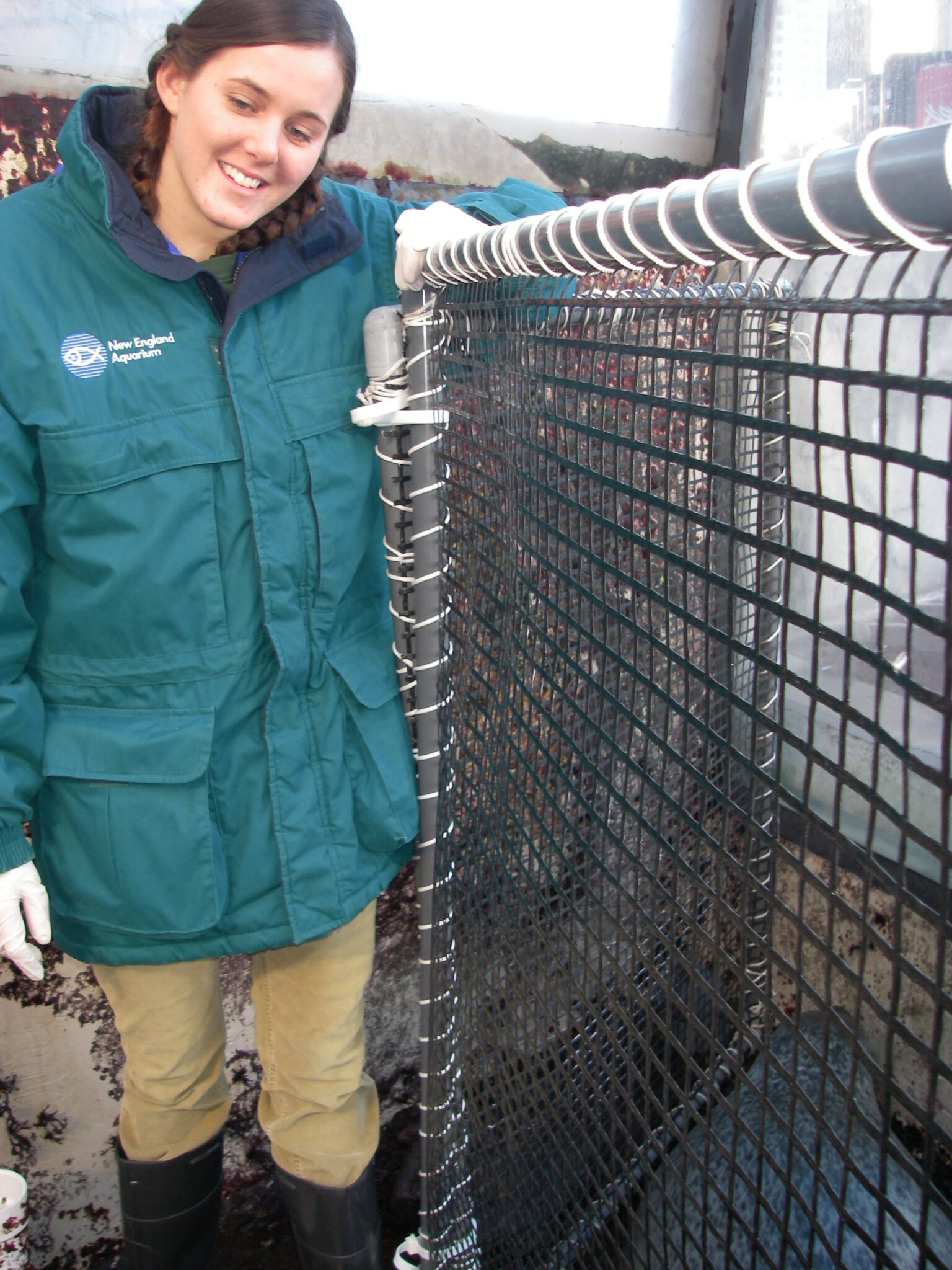 From Aquarium Intern to Director of Animal Health - New England Aquarium
