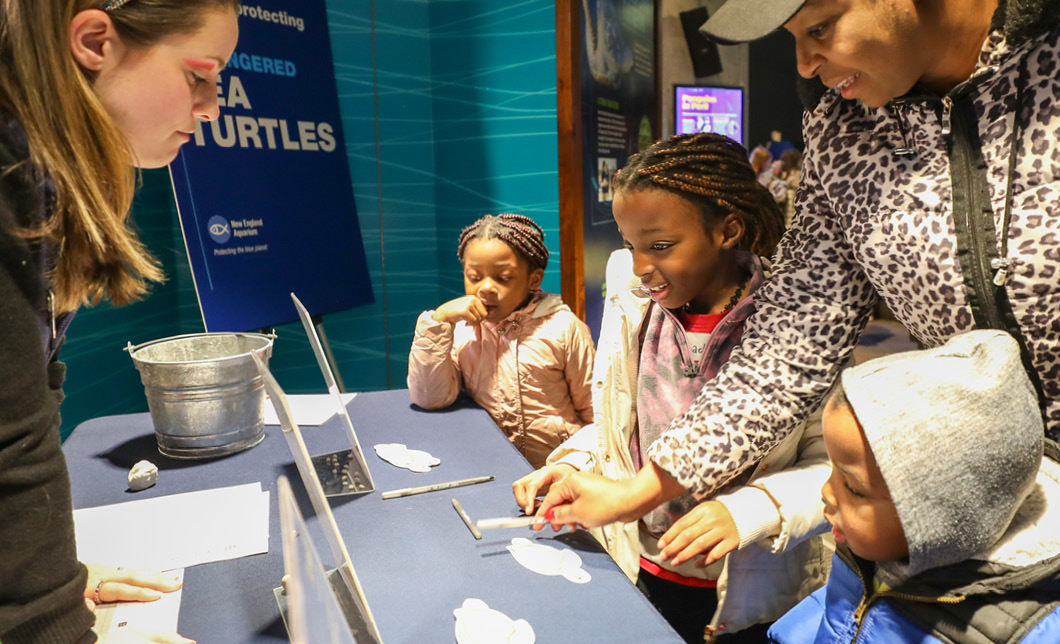 Book Your Tickets to the Aquarium in Boston - New England Aquarium