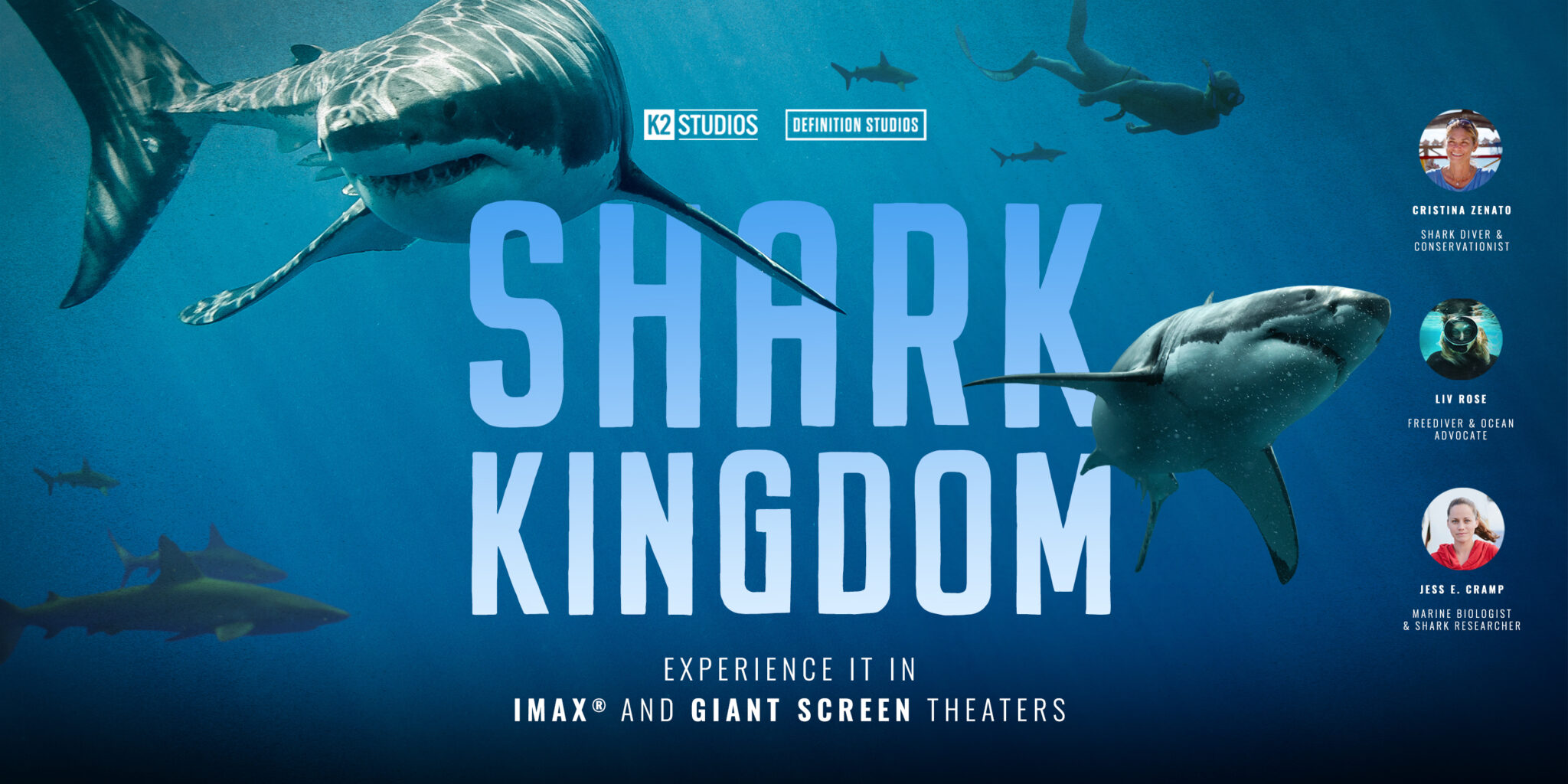 Come face to face with sharks in new film Shark Kingdom - New England ...