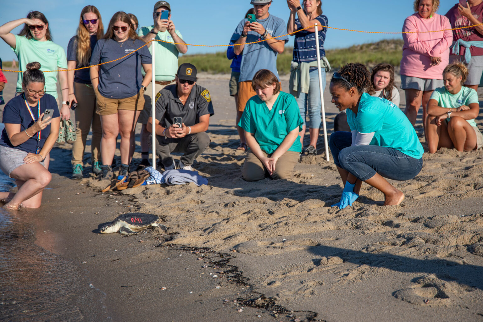 New England Aquarium returns seven more rehabilitated sea turtles to waters off Cape Cod - New ...