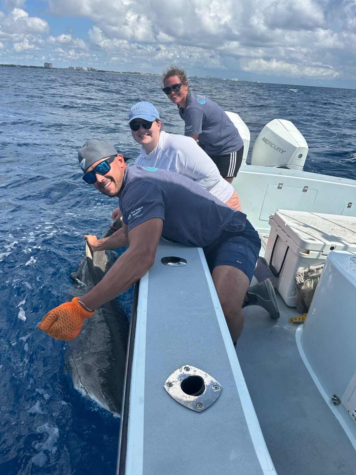 Collaborating with Recreational Fishers to Study Bull Shark ...